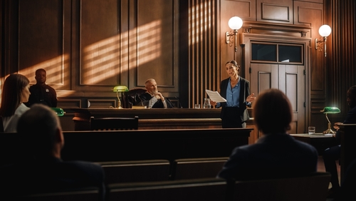 Essential Legal Presentation Skills: Stand Out and Build Influence ...