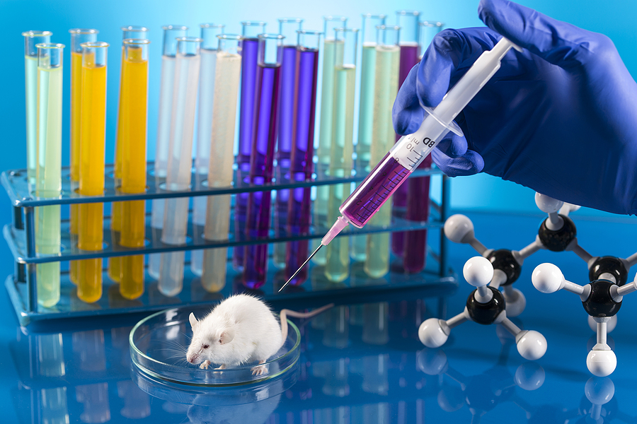 Animal Research and Testing Law: The Basic Requirements and Framework ...