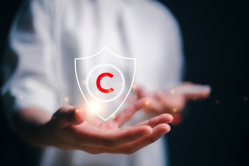 Intellectual Property Protection & Enforcement: Protecting Your Most ... Intellectual Property Protection & Enforcement: Protecting Your Most ...